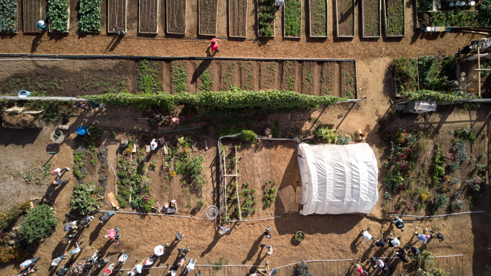 California community garden project brings LDS Church volunteers ...